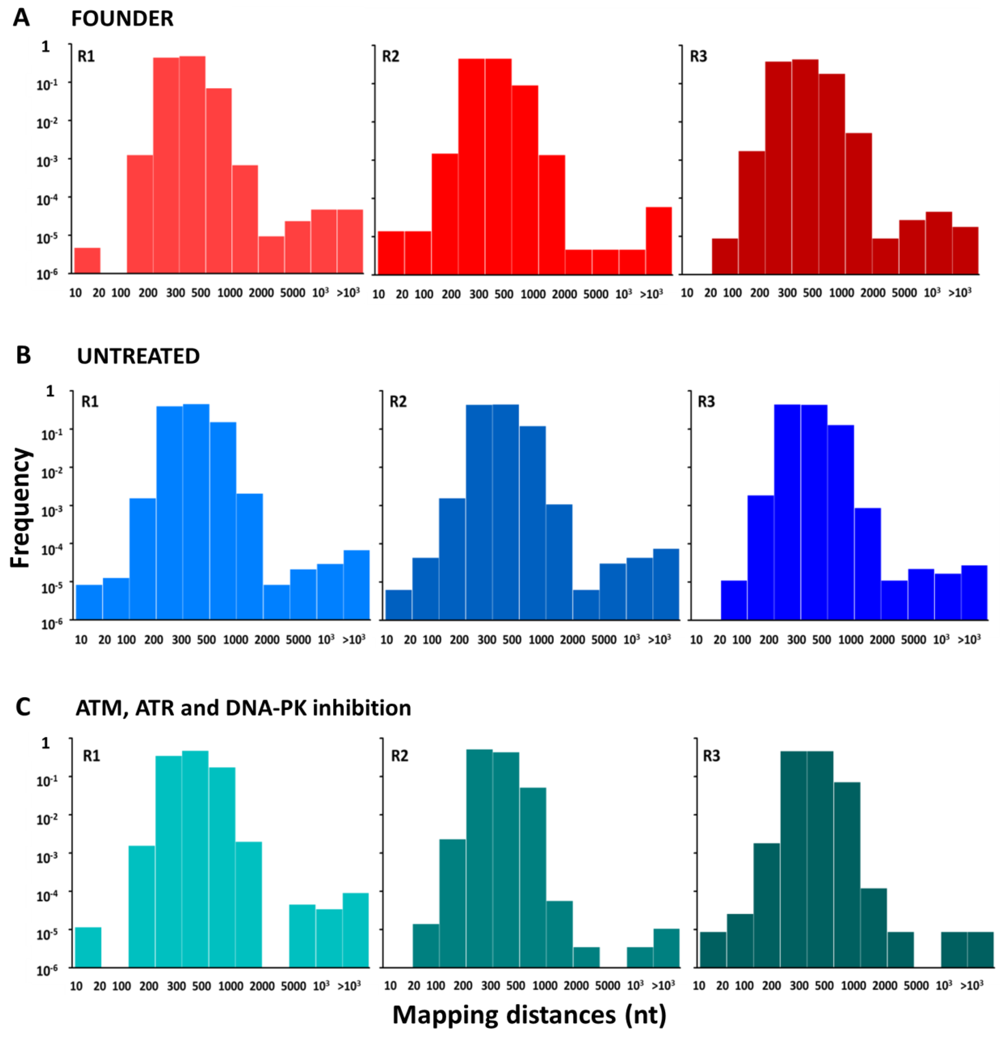 High Fidelity Deep Sequencing Reveals No Effect of ATM, ATR, and DNA-PK ...