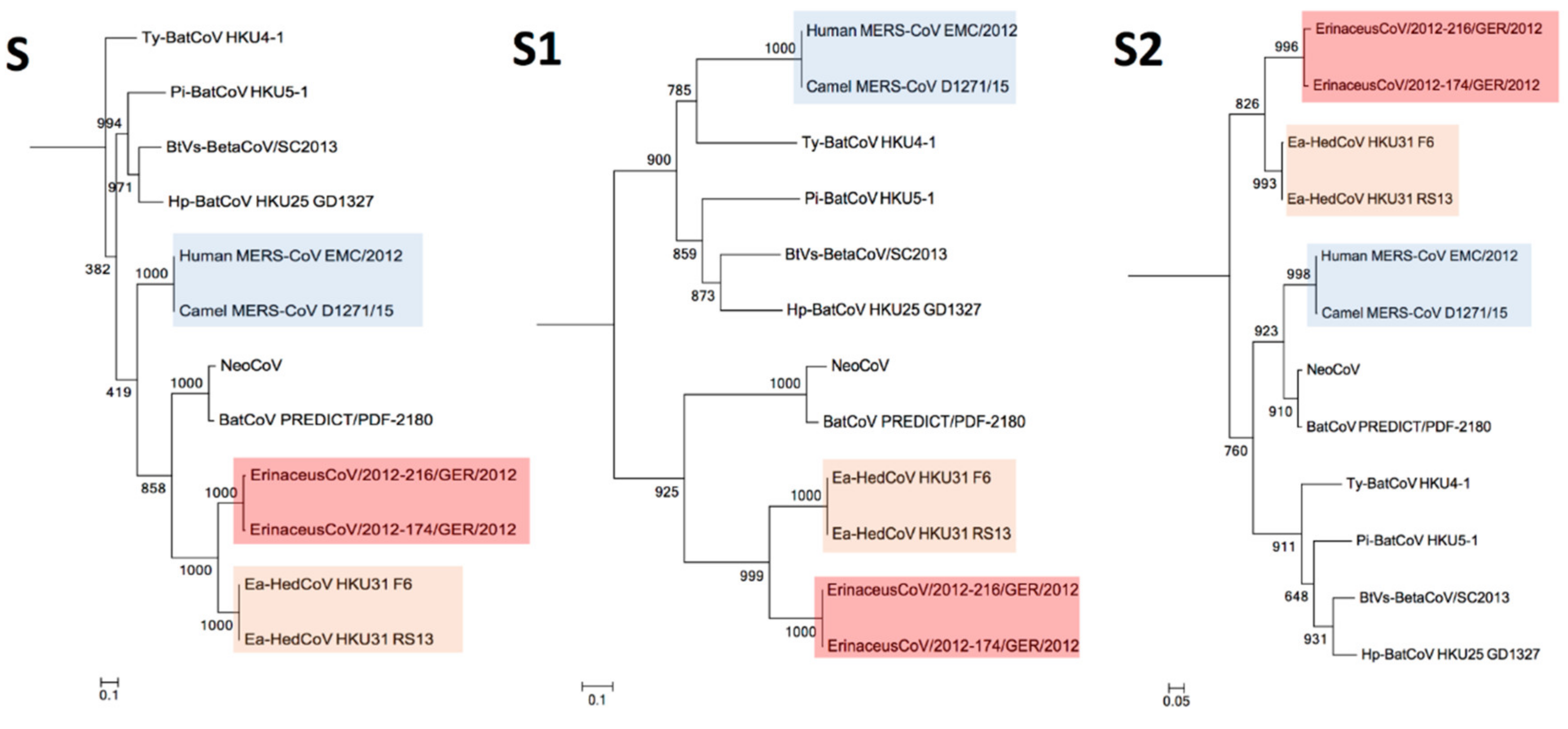 Identification of a Novel Betacoronavirus (Merbecovirus) in Amur ...