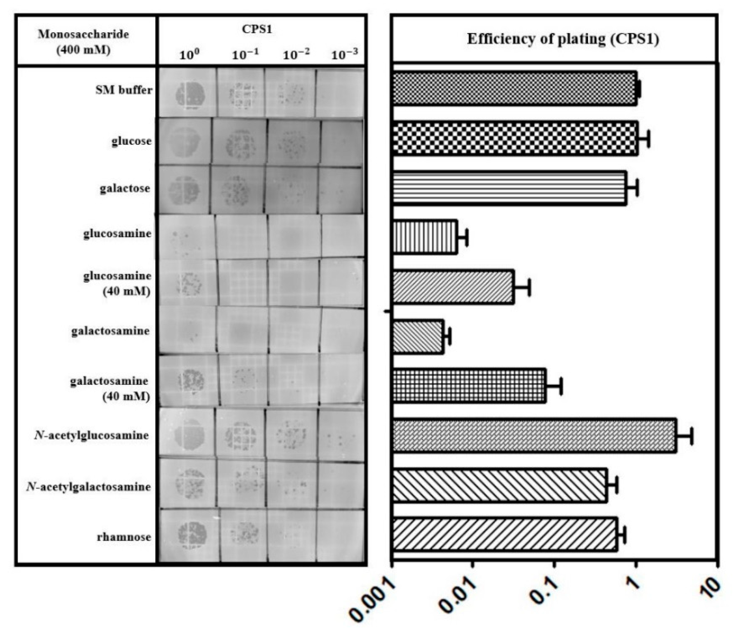Capsular Polysaccharide Is a Receptor of a Clostridium perfringens ...