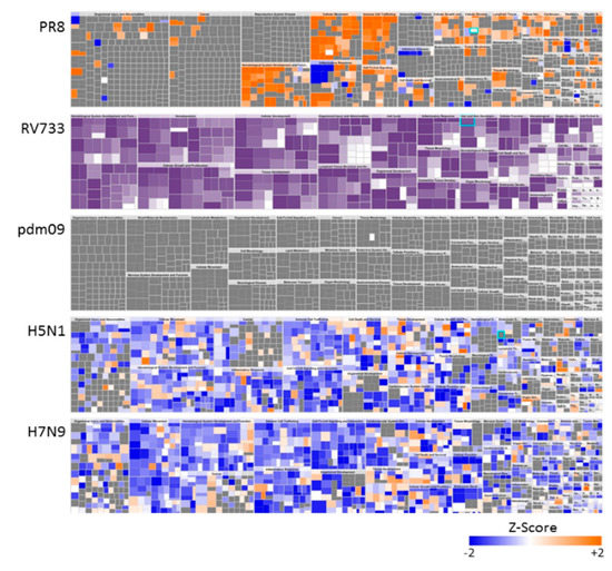 Aptamer Profiling of A549 Cells Infected with Low-Pathogenicity and ...