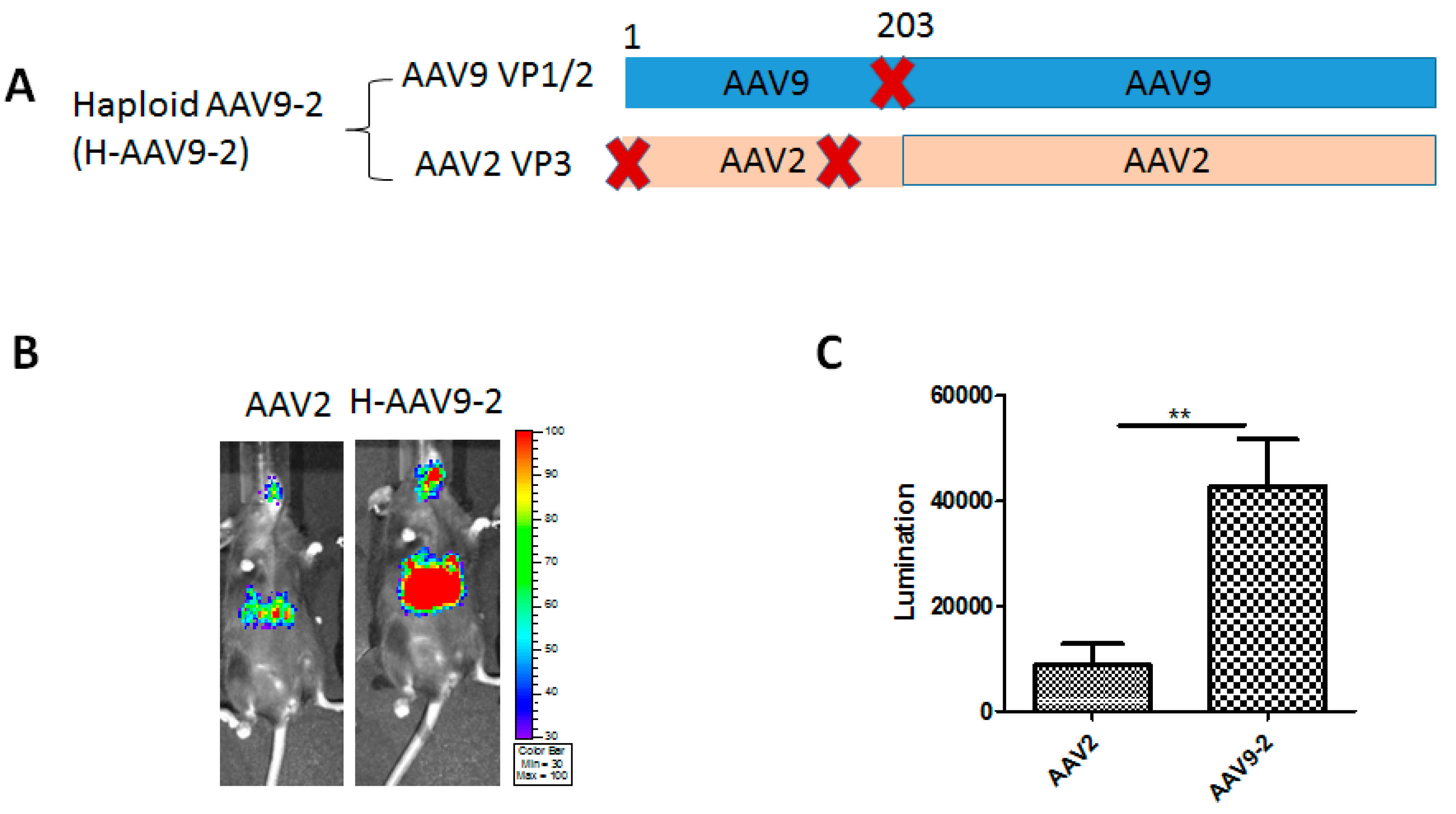Chimeric Capsid Proteins Impact Transduction Efficiency of Haploid ...