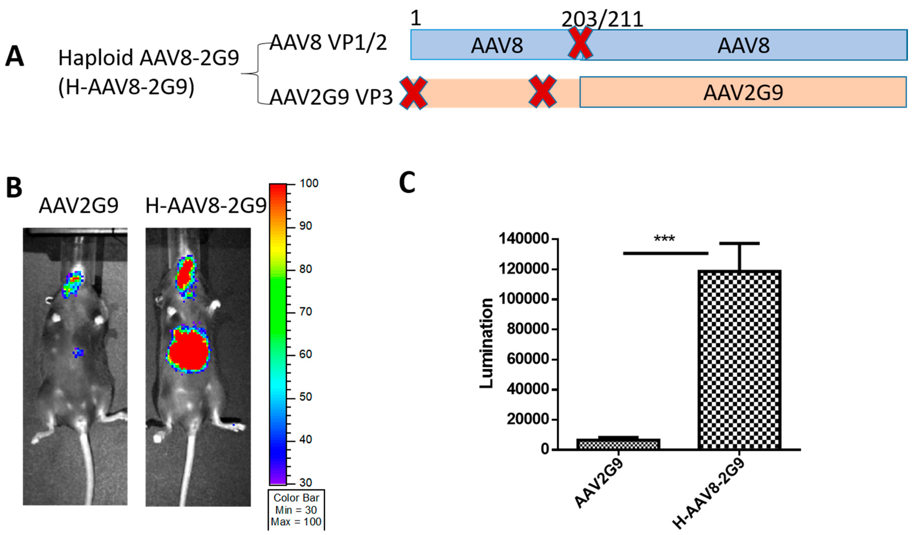 Chimeric Capsid Proteins Impact Transduction Efficiency of Haploid ...