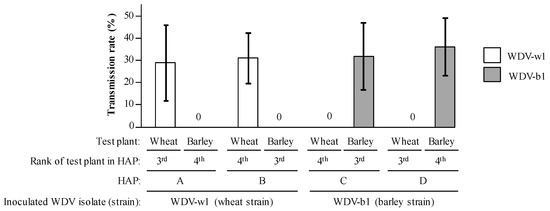 Functional Transcomplementation between Wheat Dwarf Virus Strains in ...