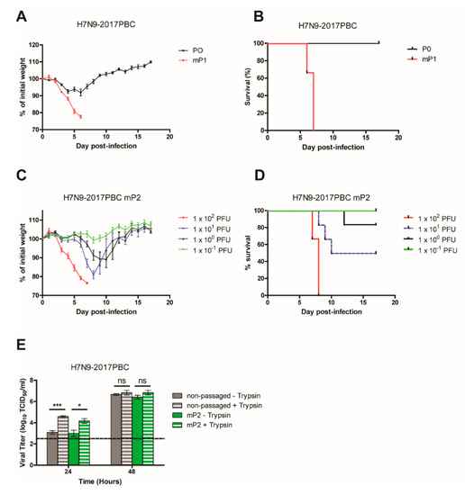 H7N9 Influenza Virus Containing a Polybasic HA Cleavage Site Requires ...