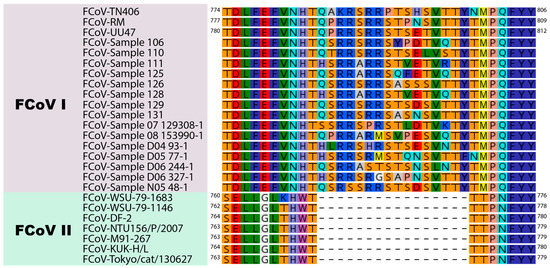 A Tale of Two Viruses: The Distinct Spike Glycoproteins of Feline ...
