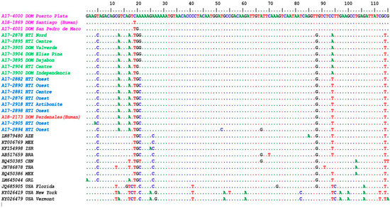 Using the LN34 Pan-Lyssavirus Real-Time RT-PCR Assay for Rabies Diagnosis and Rapid Genetic ...