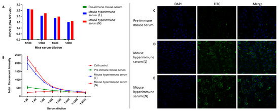 Isolation of PCV3 from Perinatal and Reproductive Cases of PCV3 ...