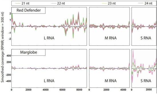 The Tomato spotted wilt virus (TSWV) Genome is Differentially Targeted ...