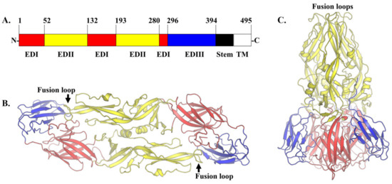 Structure-Based Design of Antivirals against Envelope Glycoprotein of ...