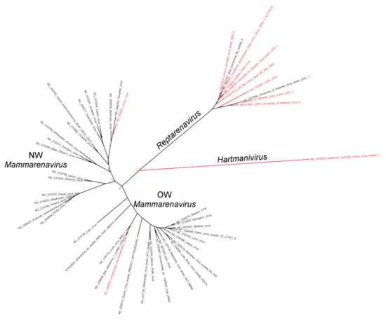 Differences in Tissue and Species Tropism of Reptarenavirus Species ...