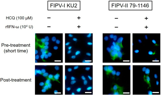 Viruses | Free Full-Text | Antiviral Effects of Hydroxychloroquine and ...