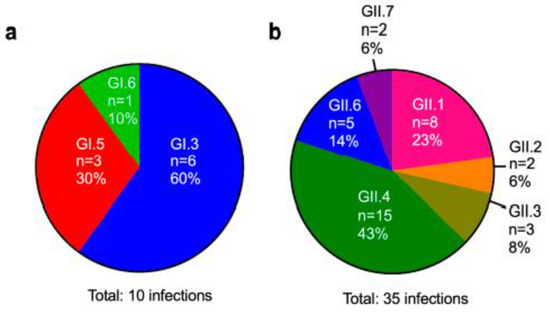 Infectious Norovirus Is Chronically Shed by Immunocompromised Pediatric ...
