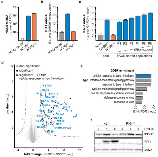 Persistent Innate Immune Stimulation Results in IRF3-Mediated but ...