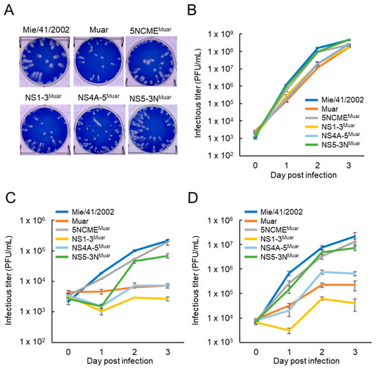 Amino Acid at Position 166 of NS2A in Japanese Encephalitis Virus (JEV ...