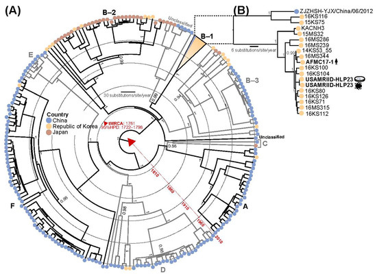 A Model for the Production of Regulatory Grade Viral Hemorrhagic Fever ...