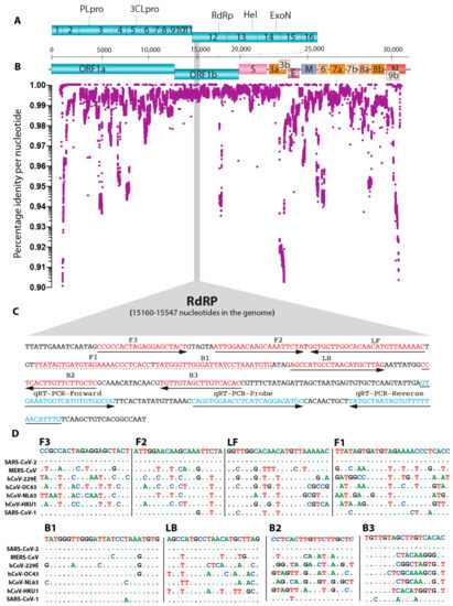 Artificial Intelligence-Assisted Loop Mediated Isothermal Amplification ...