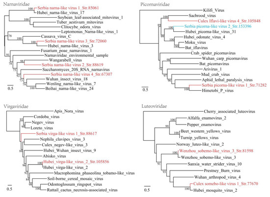 Depicting the RNA Virome of Hematophagous Arthropods from Belgrade, Serbia