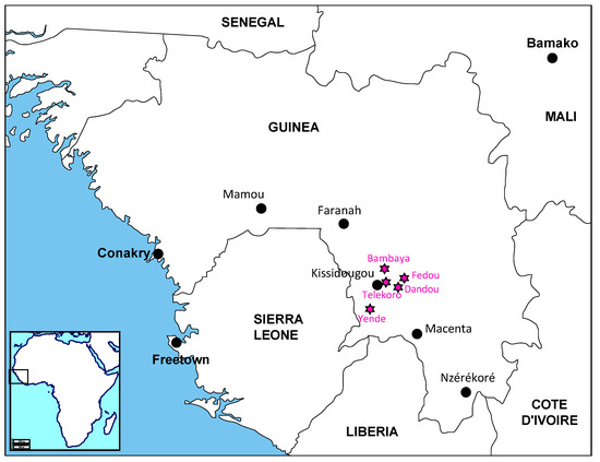 A Sporadic and Lethal Lassa Fever Case in Forest Guinea, 2019