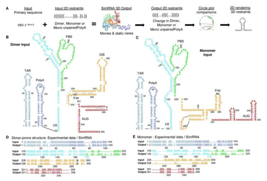 Viruses | Free Full-Text | A New Approach to 3D Modeling of ...