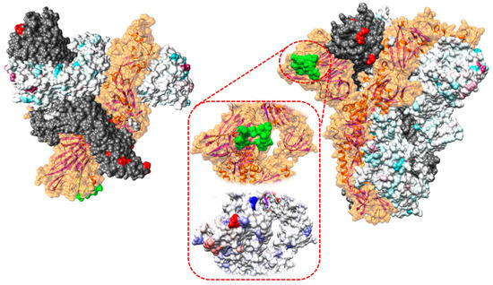 Bovine Coronavirus: Variability, Evolution, and Dispersal Patterns of a ...