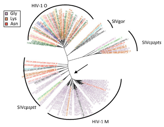 Site-Specific Evolutionary Rate Shifts in HIV-1 and SIV