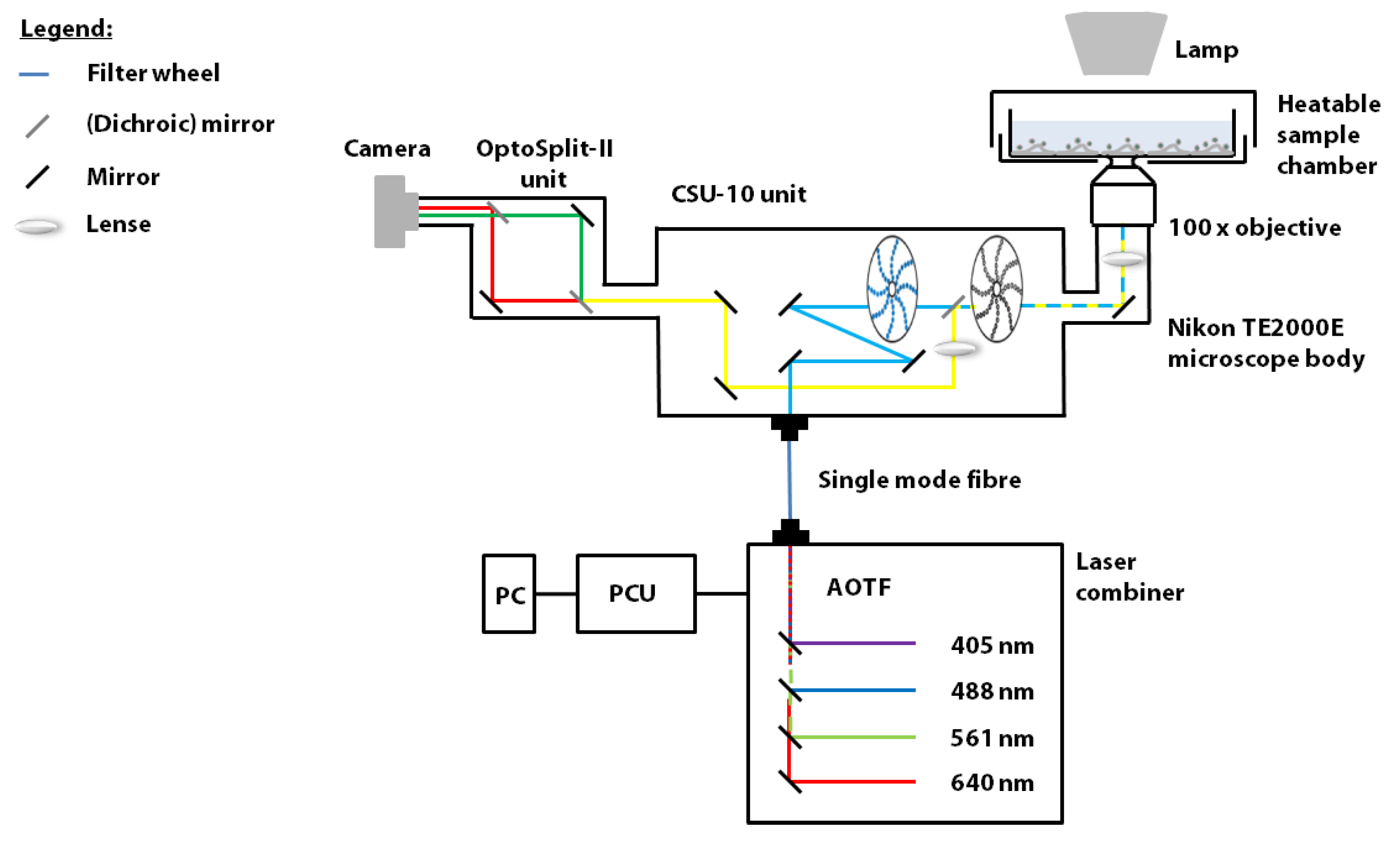 Identification of an Intermediate Step in Foamy Virus Fusion