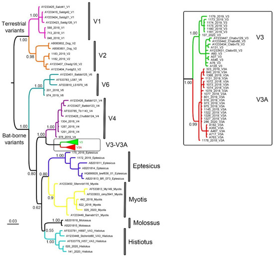 Evaluation of Two Real-Time, TaqMan Reverse Transcription-PCR Assays ...