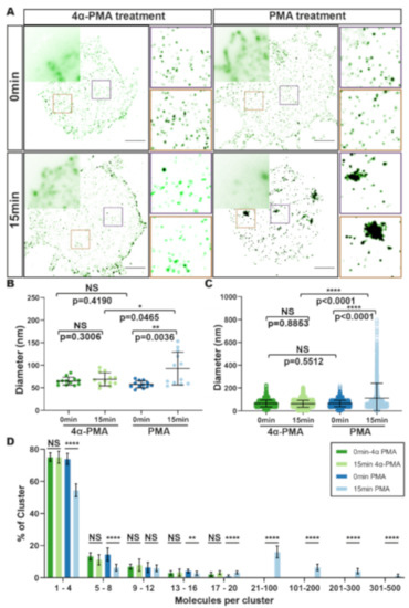 Viruses | Special Issue : Application of Advanced Imaging to the Study ...