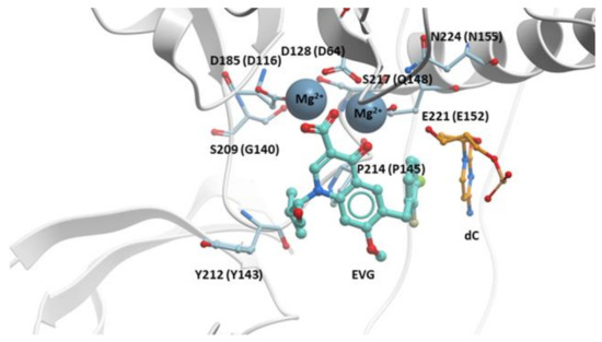 Integrase Strand Transfer Inhibitors Are Effective Anti-HIV Drugs