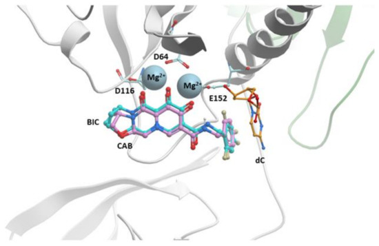 Integrase Strand Transfer Inhibitors Are Effective Anti-HIV Drugs