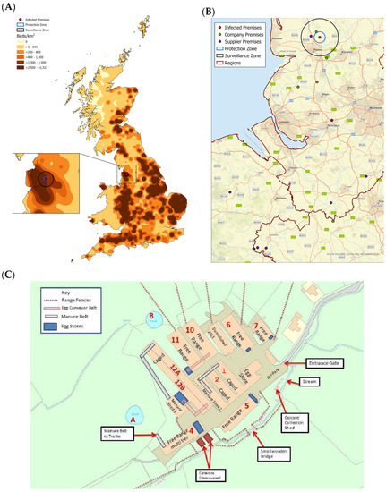 H7N7 Avian Influenza Virus Mutation from Low to High Pathogenicity on a ...