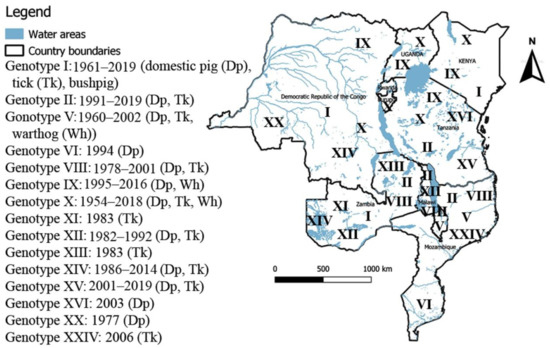 Viruses | Free Full-Text | African Swine Fever Virus Circulation ...