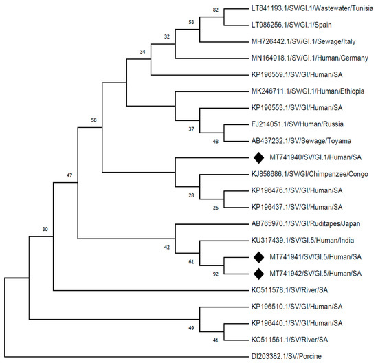 Prevalence and Genetic Characterisation of Human Sapovirus from ...