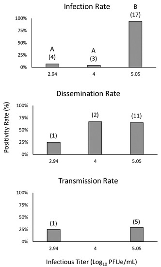 Vector Competence of Florida Culicoides insignis (Diptera ...