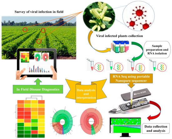 Current Developments and Challenges in Plant Viral Diagnostics: A ...