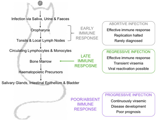 Measuring the Humoral Immune Response in Cats Exposed to Feline ...