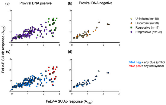 Viruses | Special Issue : Viral Infections in Companion Animals