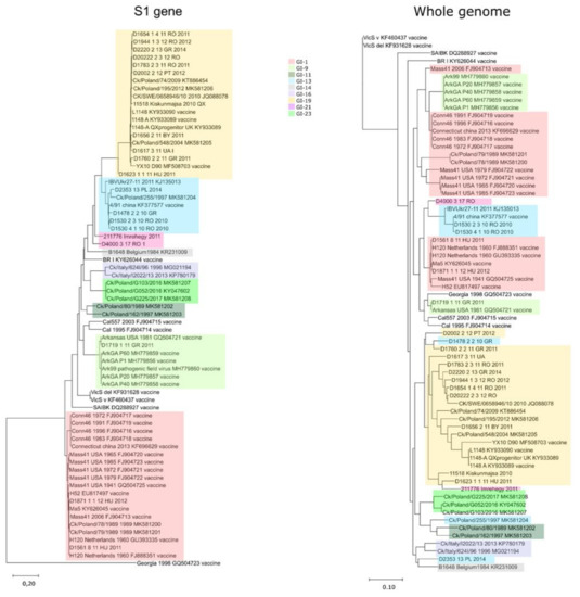 Recombination Events Shape the Genomic Evolution of Infectious ...