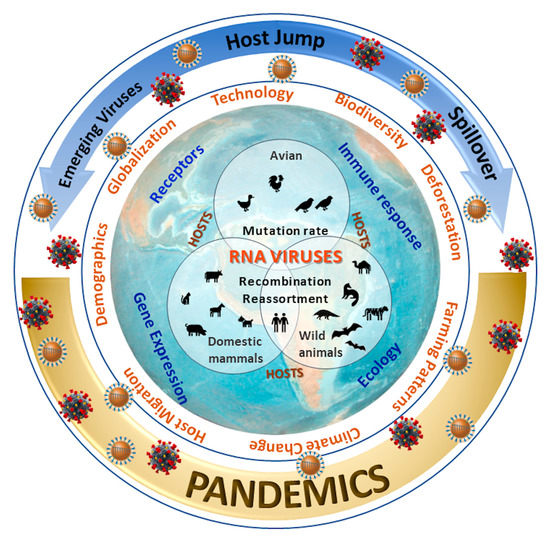 Viruses | Free Full-Text | Key Factors That Enable the Pandemic ...