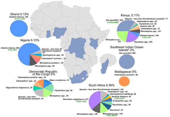 Lagos Bat Virus, an Under-Reported Rabies-Related Lyssavirus
