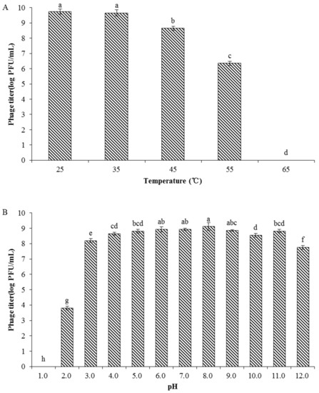 Characterization of a Lytic Bacteriophage against Pseudomonas syringae ...