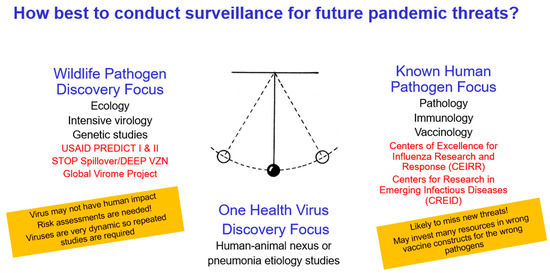 Mitigating Future Respiratory Virus Pandemics: New Threats and ...