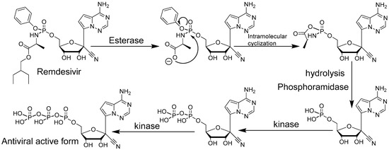 Broad-Spectrum Antiviral Strategies and Nucleoside Analogues