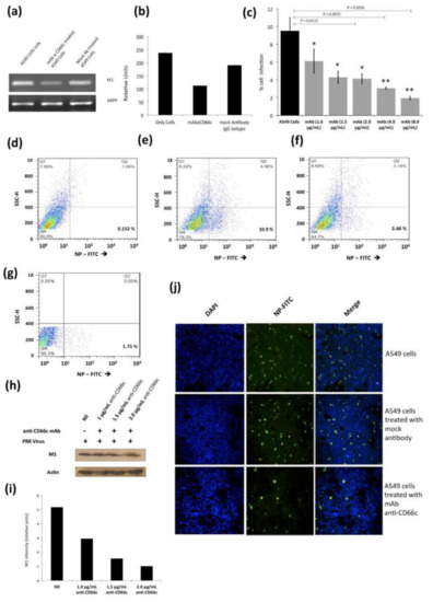 Viruses | Free Full-Text | The Immunomodulatory CEA Cell Adhesion ...
