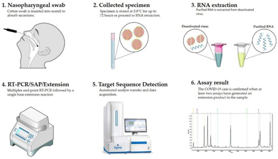 Superiority of MALDI-TOF Mass Spectrometry over Real-Time PCR for SARS ...
