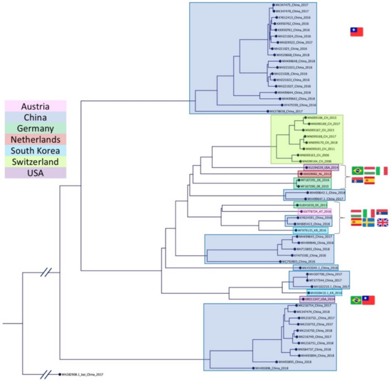 Atypical Porcine Pestiviruses: Relationships and Conserved Structural ...