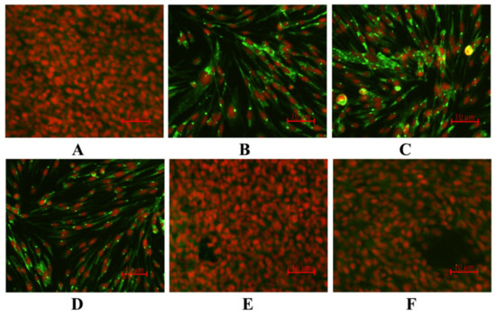 Identification, Virulence, and Molecular Characterization of a ...