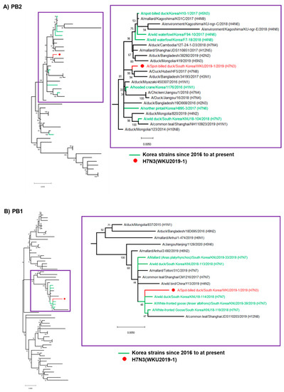 Genetic Characterization and Pathogenesis of Avian Influenza Virus H7N3 ...
