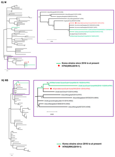 Genetic Characterization and Pathogenesis of Avian Influenza Virus H7N3 ...