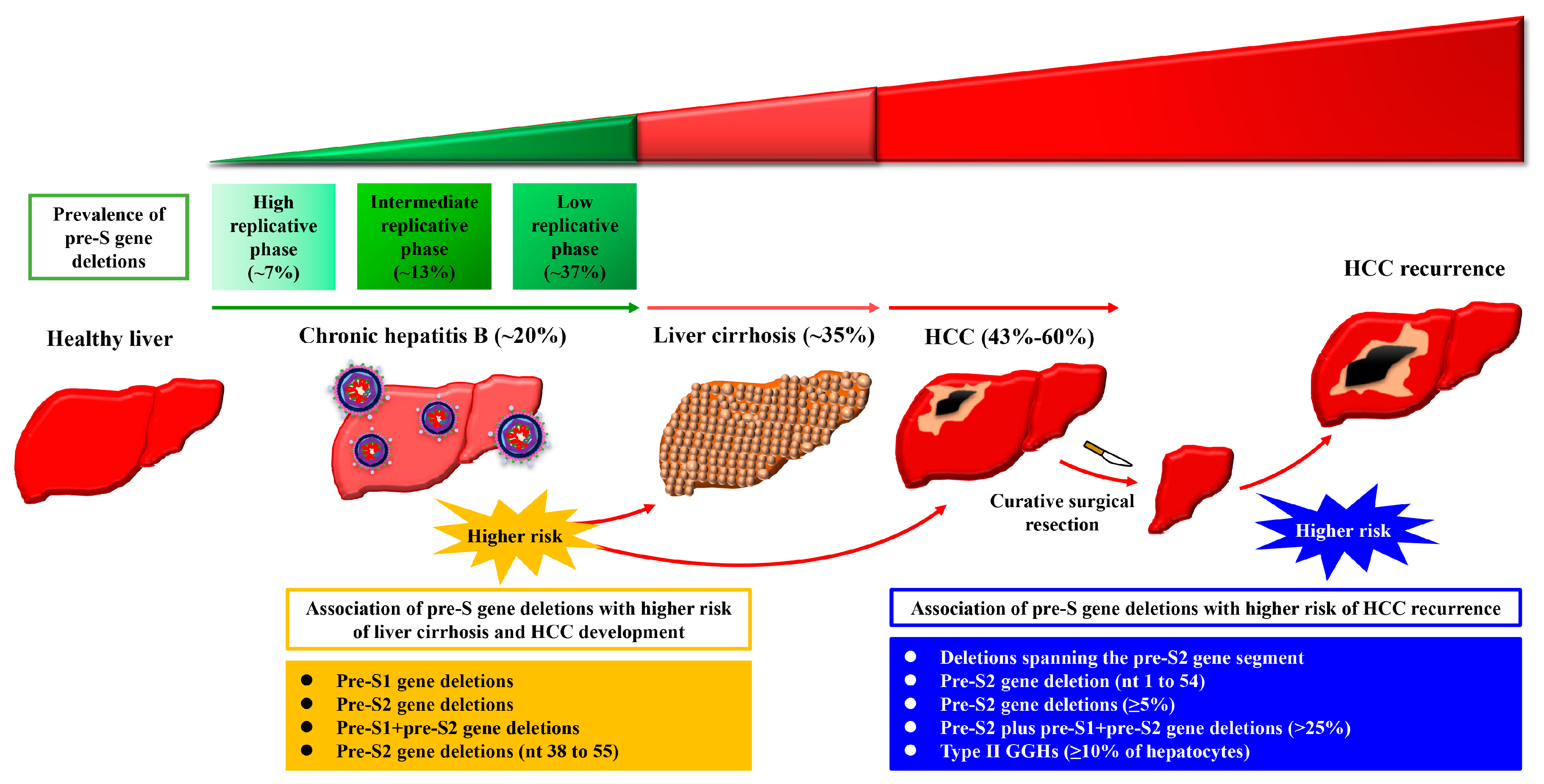 Hepatitis B Virus Pre-S Gene Deletions and Pre-S Deleted Proteins ...